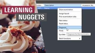 Course: Welcome to Heidelberg Eye Explorer!